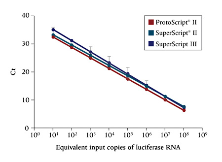 ProtoScript® II First Strand cDNA Synthesis Kit | NEB