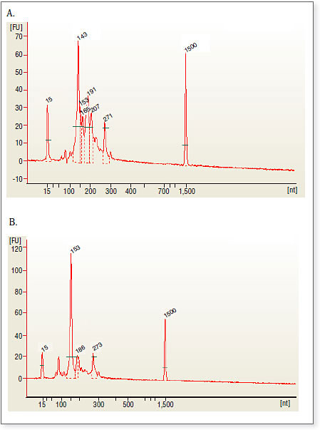 Size Selection using AMPure XP Beads | NEB