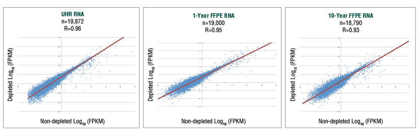 NEBNext® rRNA Depletion Kit (Human/Mouse/Rat) | NEB