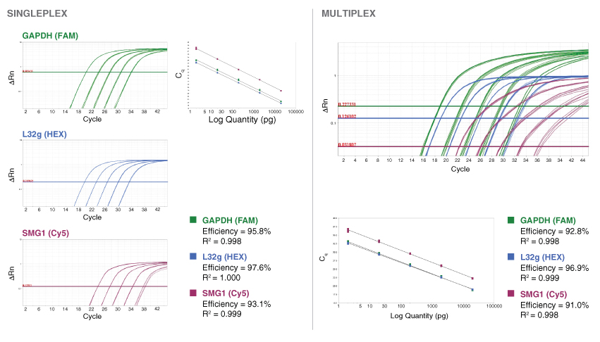 Luna® Universal Probe qPCR Master Mix | NEB