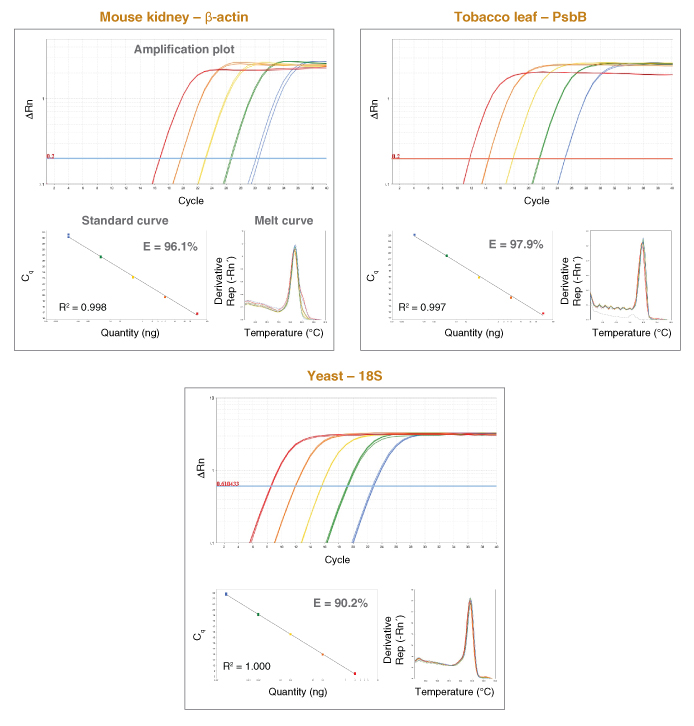 Luna® Universal qPCR Master Mix | NEB