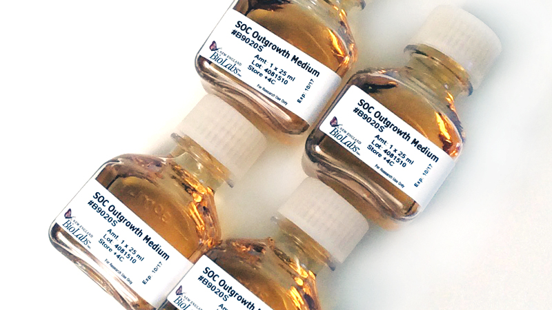 Invitrogen Soc Medium Recipe | Bryont Blog