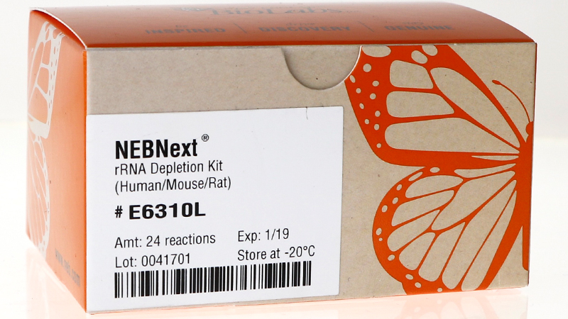 Nebnext® Ultra™ Ii Rna First Strand Synthesis Module Neb