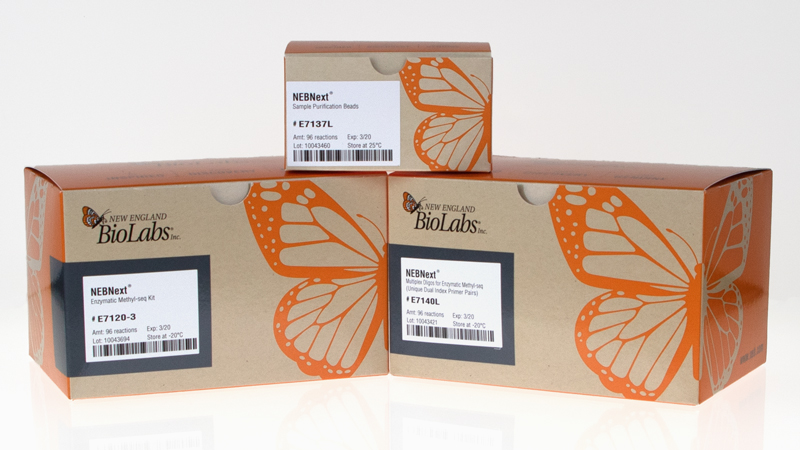 Nebnext® Enzymatic Methyl Seq Conversion Module Neb
