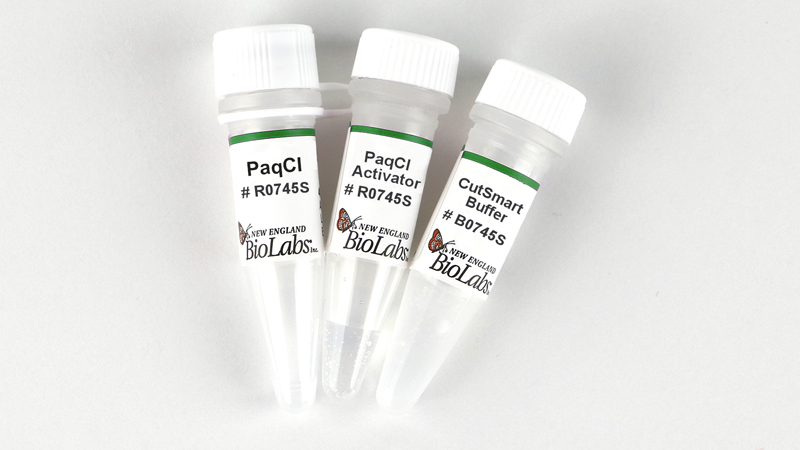Nebridge® Ligase Master Mix Neb