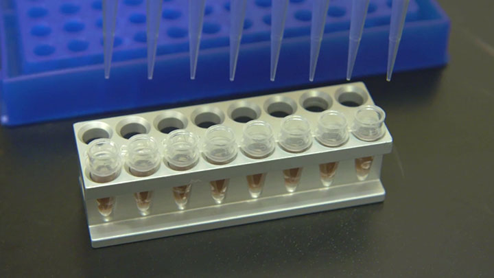 NEBNext Direct® for target enrichment | NEB