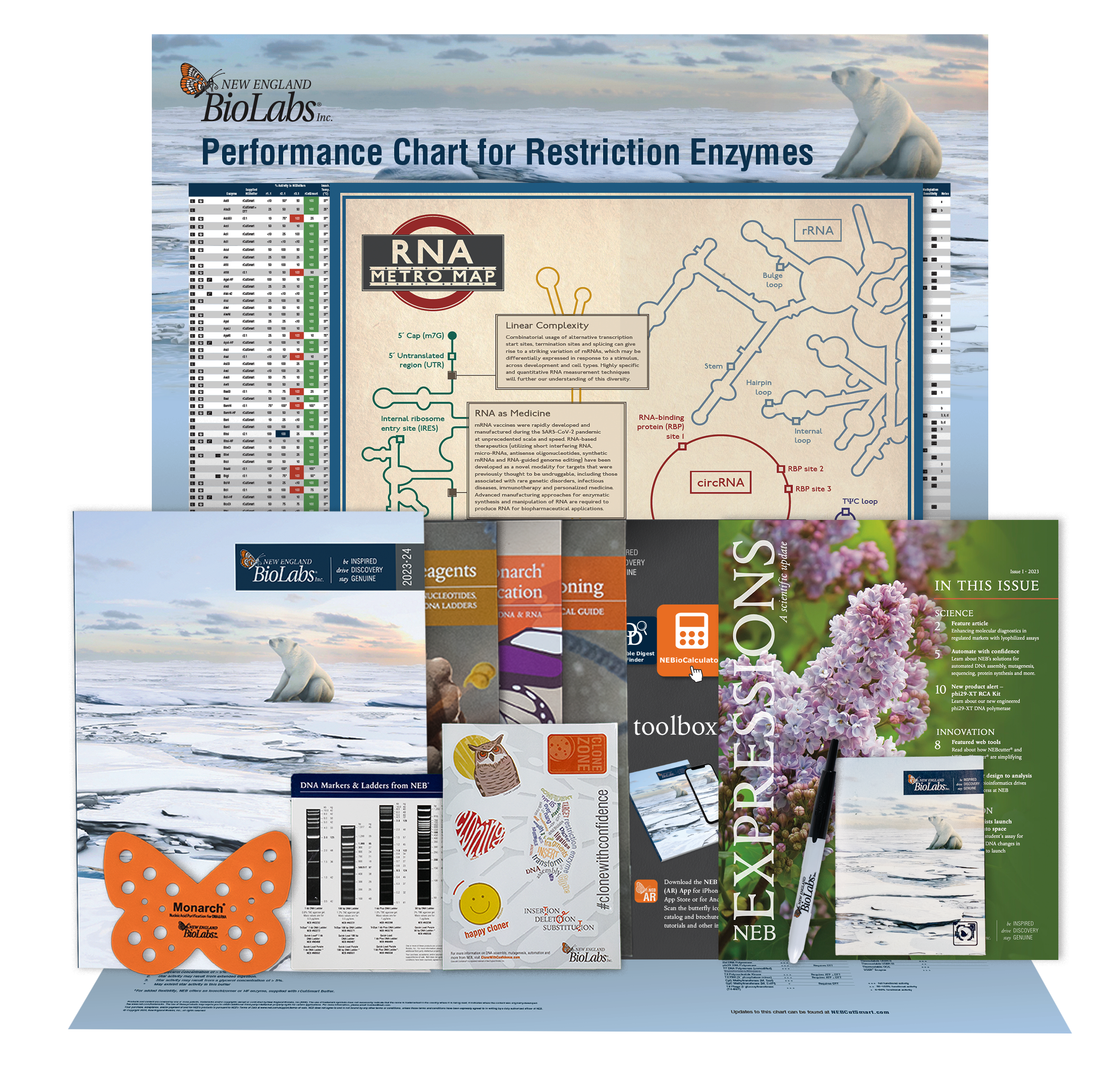 New Student Starter Pack | NEB