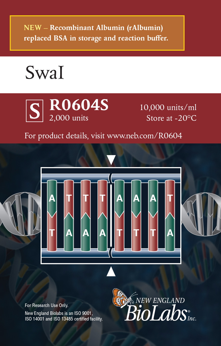NEB Enzyme formulations with Recombinant Albumin (rAlbumin) | NEB