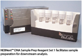 The Next Generation of Reagents for Sample Preparation | NEB