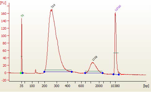 NEBNext® RNA Library Prep Kit Troubleshooting Guide (NEB #E7760, E7765 ...