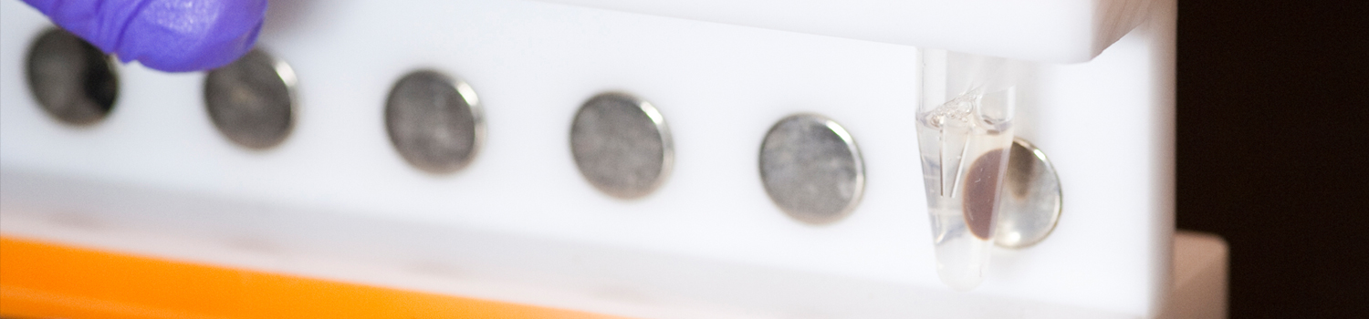 Pull Down Assays | NEB