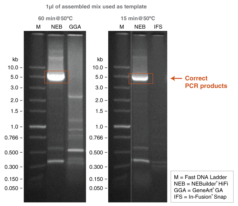 NEBuilder® HiFi DNA Assembly – Benefits Over GeneArt Gibson Assembly ...