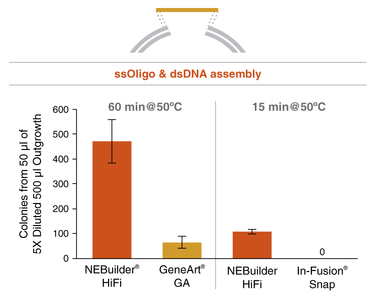 NEBuilder® HiFi DNA Assembly – Benefits Over GeneArt Gibson Assembly ...