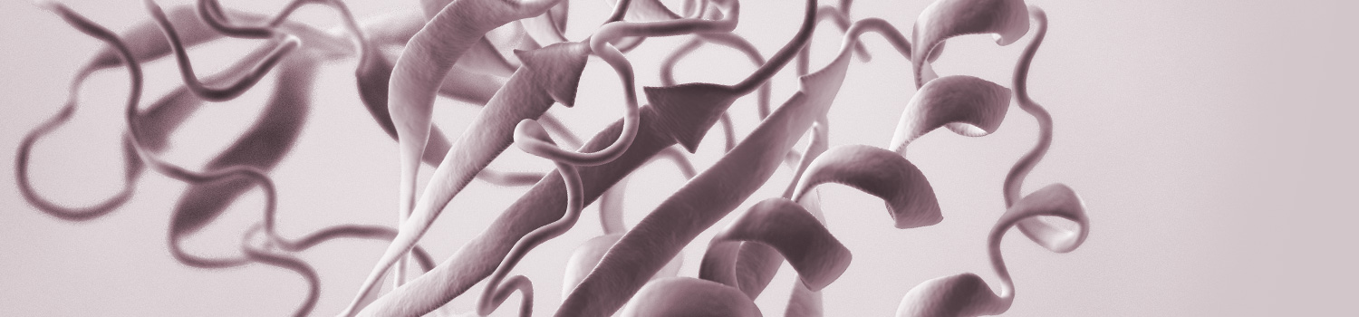 Protein Expression | NEB