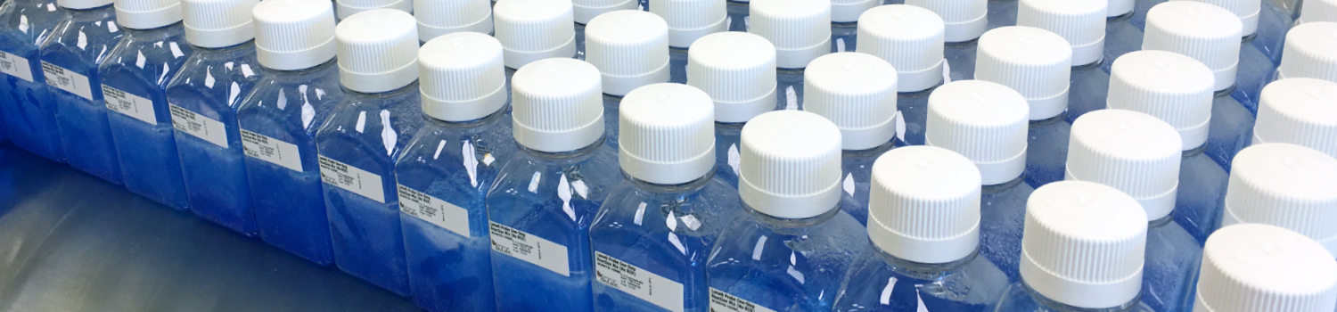 Supporting Molecular Diagnostics | NEB