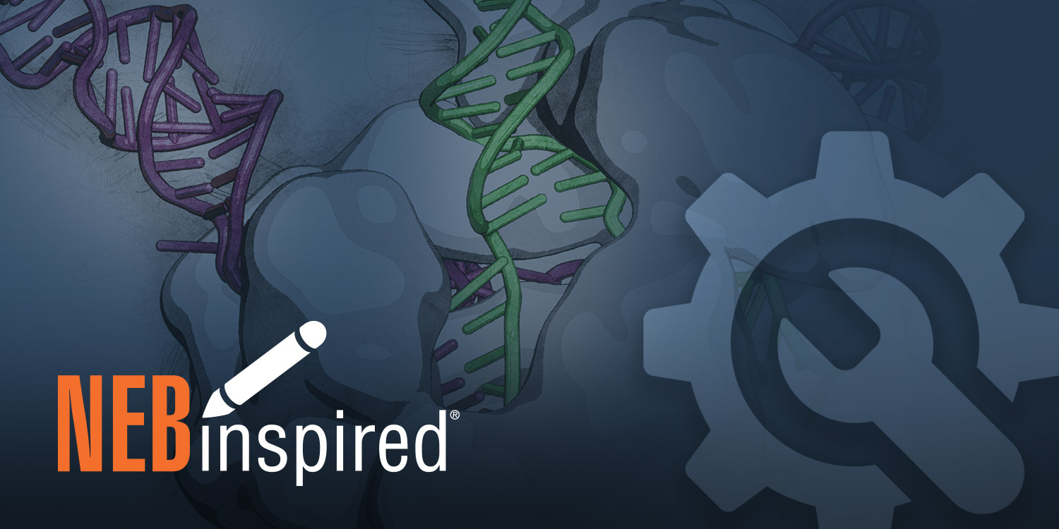 Adding Capabilities to CRISPR-Cas-Based Biotechnology | NEB