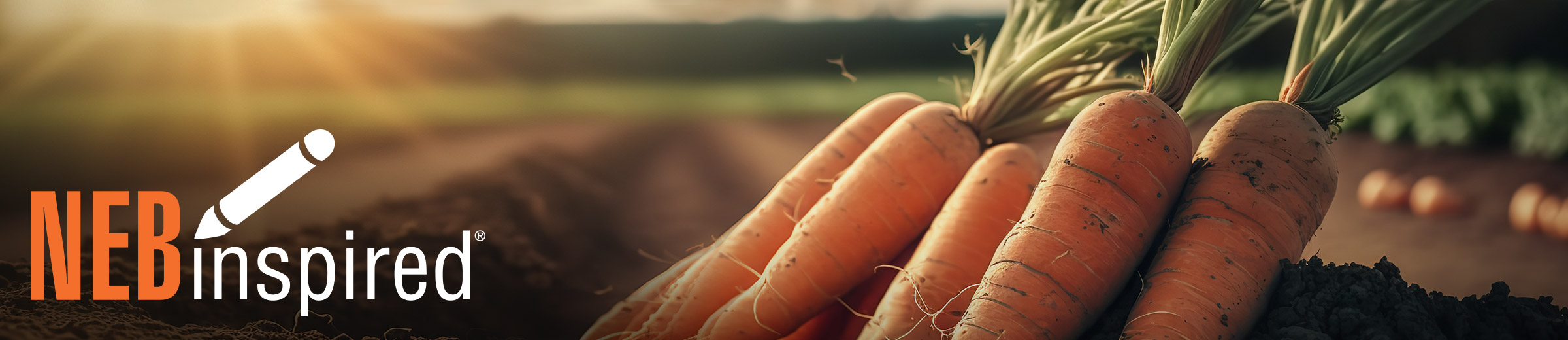 Composting - an unsung hero in sustainability | NEB