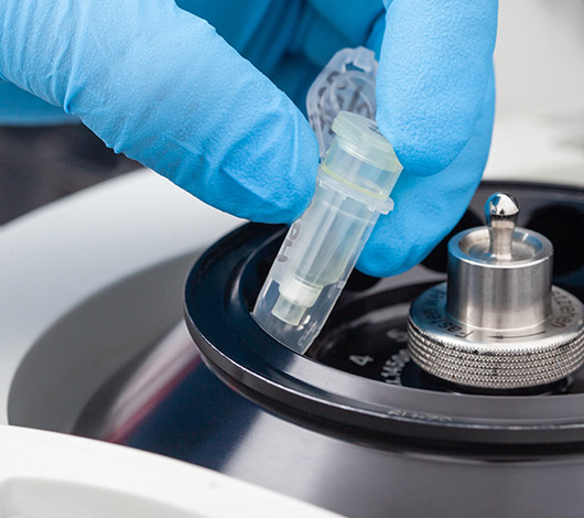 NEBinspired® Blog | NEB