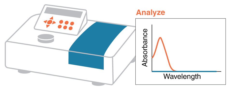 Essential Tips for Successful DNA Gel Extraction | NEB
