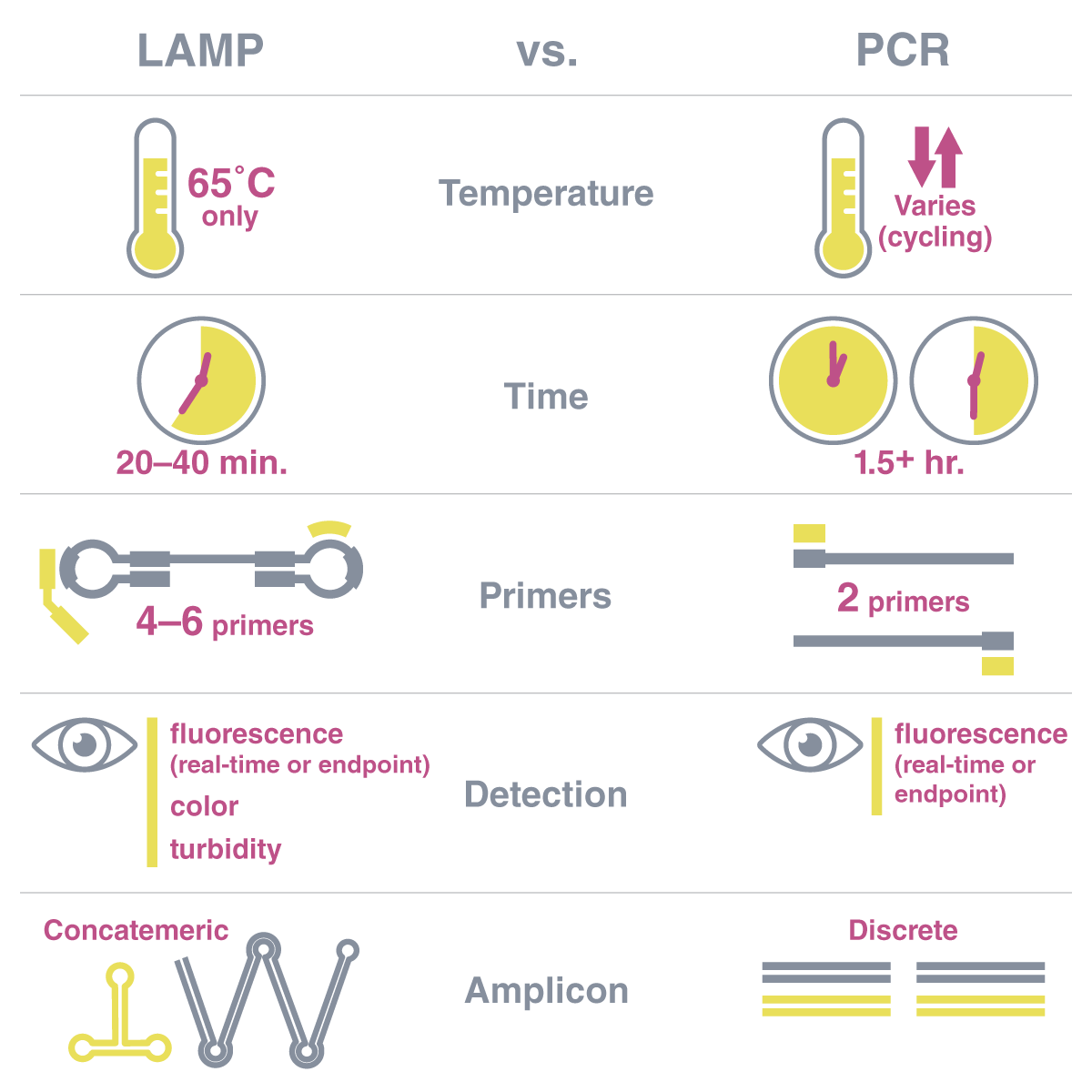 Getting Started With Loop Mediated Isothermal Amplification Lamp Neb