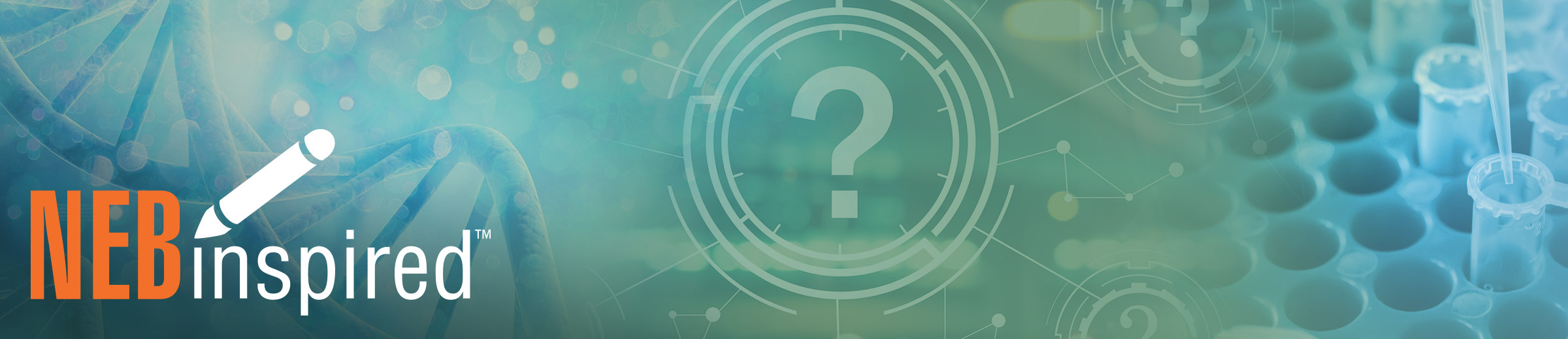 Which DNA Ligase is the best choice for DNA Assembly? | NEB
