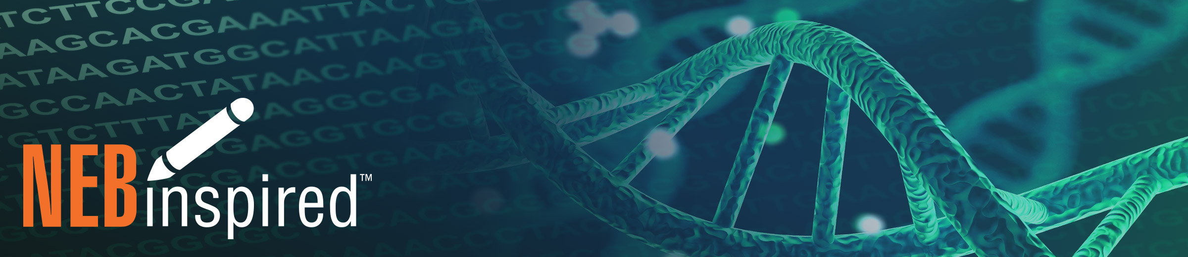 Proven tips for PCR primer design | NEB