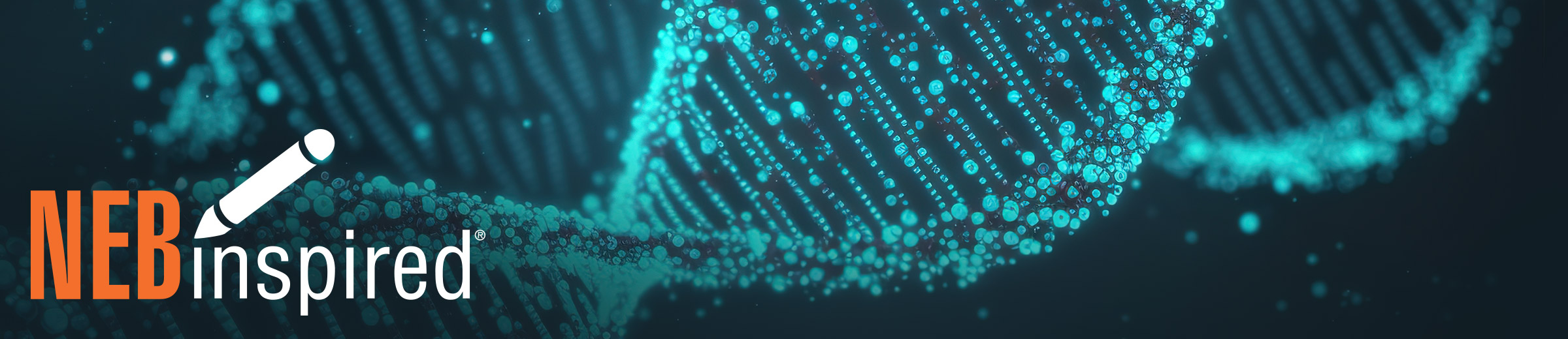 Sequencing Technologies And Bioinformatics From Data To Workflow Improvements Neb