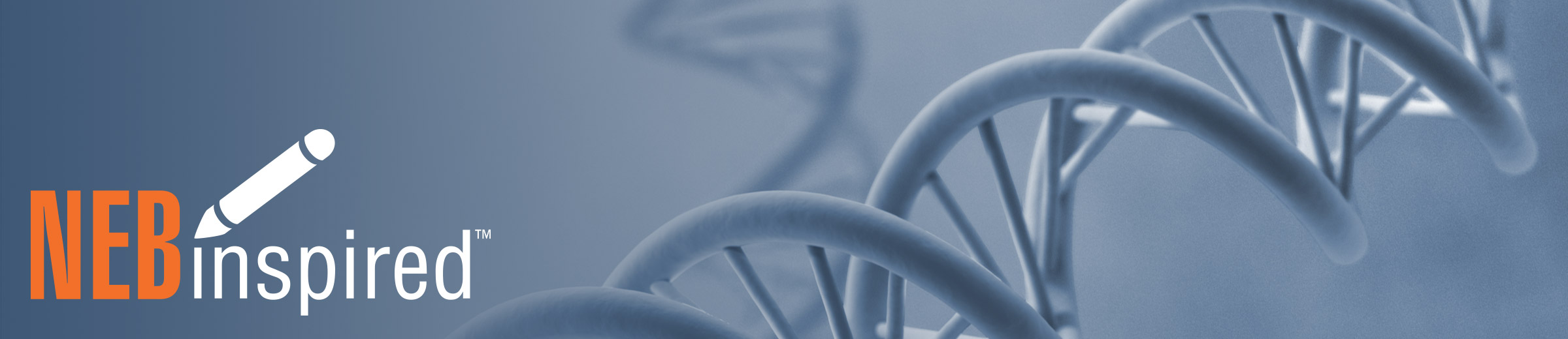 Using PaqCI™ for Golden Gate Assembly | NEB