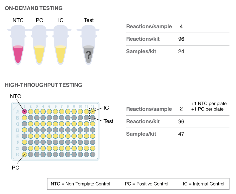 SARS-CoV-2 Rapid Colorimetric LAMP Assay Kit | NEB