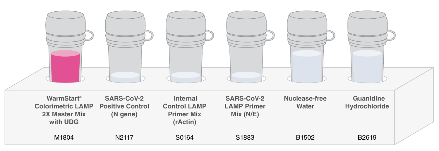SARS-CoV-2 Rapid Colorimetric LAMP Assay Kit | NEB