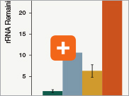 NEBNext® Ultra™ II Directional RNA Library Prep Library Preparation ...