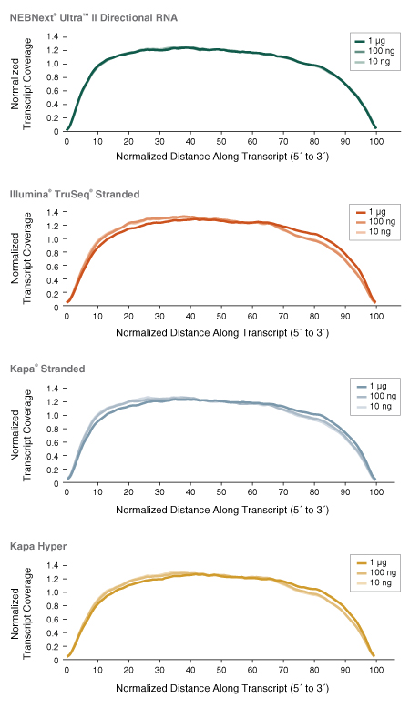 NEBNext® Ultra™ II Directional RNA Library Prep - Maximizing Transcript ...