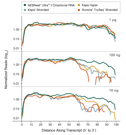 NEBNext® Ultra™ II Directional RNA Library Prep - Maximizing Transcript ...