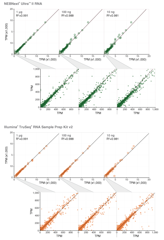 NEBNext® Ultra™ II RNA Library Prep (non-directional) Increasing ...