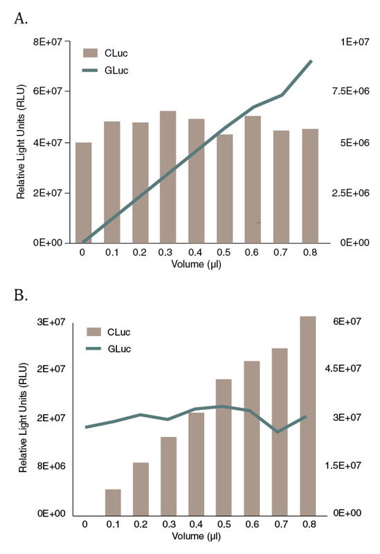 Gaussia and Cypridina Luciferases - Ultrasensitive secreted reporters ...