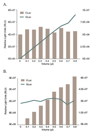 Gaussia and Cypridina Luciferases - Ultrasensitive secreted reporters ...