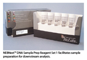 The Next Generation of Reagents for Sample Preparation | NEB