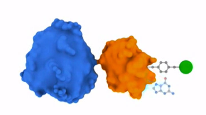 Protein Labeling Snap Clip | NEB