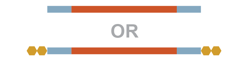 Guidelines for using NEBuilder® HiFi DNA Assembly | NEB