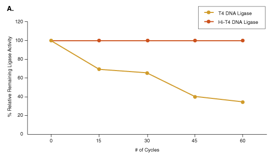 Hi-T4™ DNA Ligase | NEB