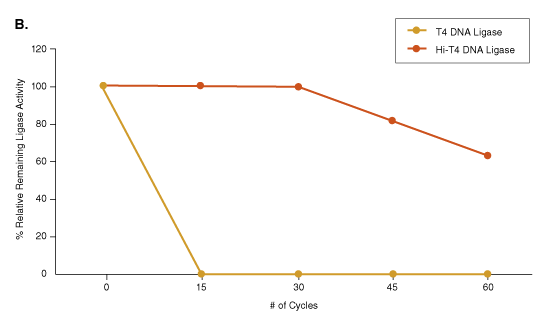 Hi-T4™ DNA Ligase | NEB