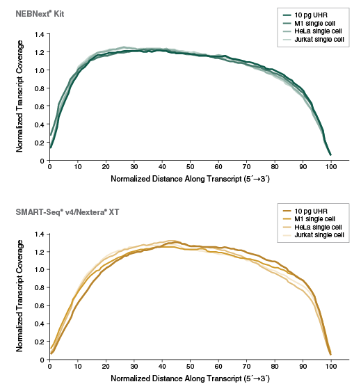 Nebnext® Single Celllow Input Rna Library Prep Kit For Illumina® Neb