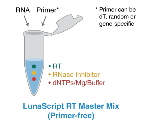 cdna synthesis kit protocol