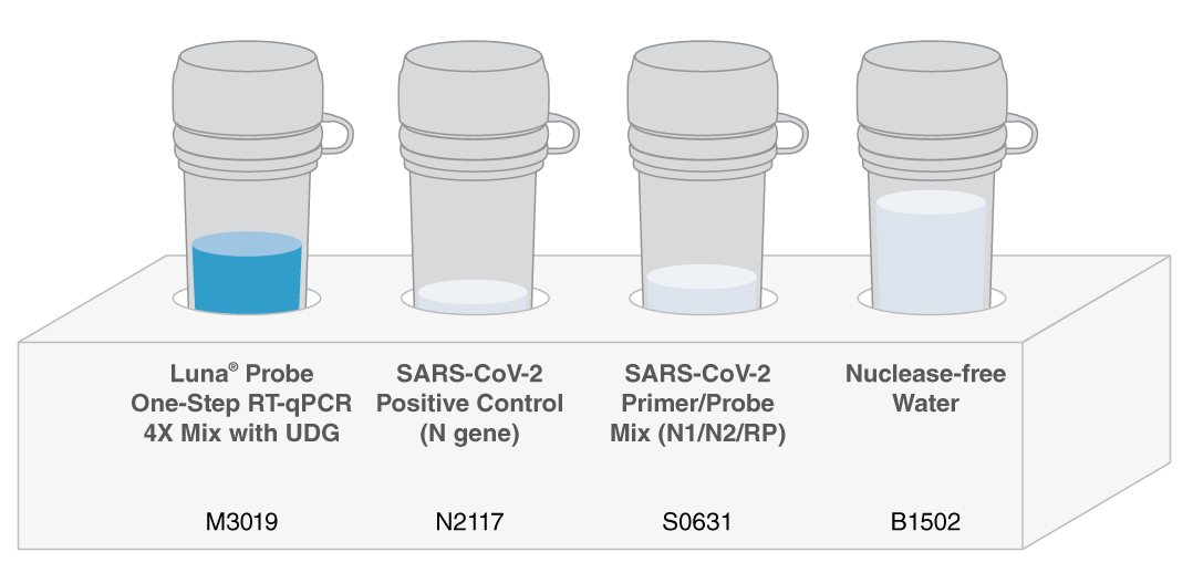 Luna® SARS-CoV-2 RT-qPCR Multiplex Assay Kit | NEB