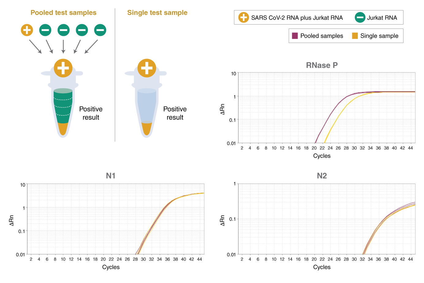 Luna® SARS-CoV-2 RT-qPCR Multiplex Assay Kit | NEB