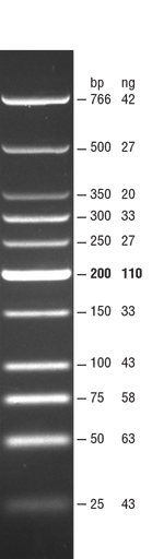 DNA Markers & Ladders | NEB