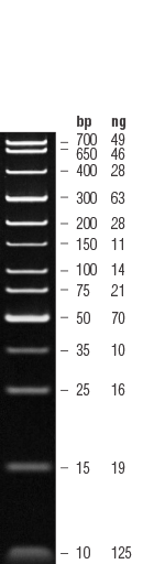 DNA Markers & Ladders | NEB