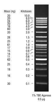 1 kb Plus DNA Ladder for Safe Stains | NEB