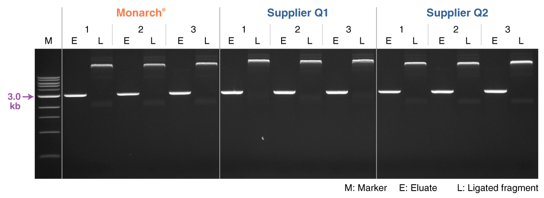 Monarch® Spin DNA Gel Extraction Kit | NEB