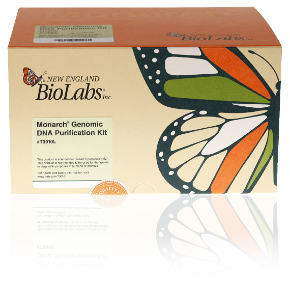 Find Products for Nanopore Sequencing | NEB